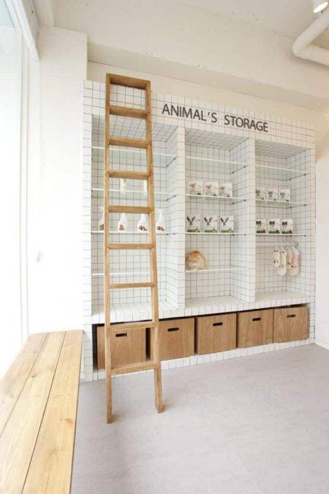 6 Veterinary Clinic Design Ideas To Create A Pet-Friendly Environment